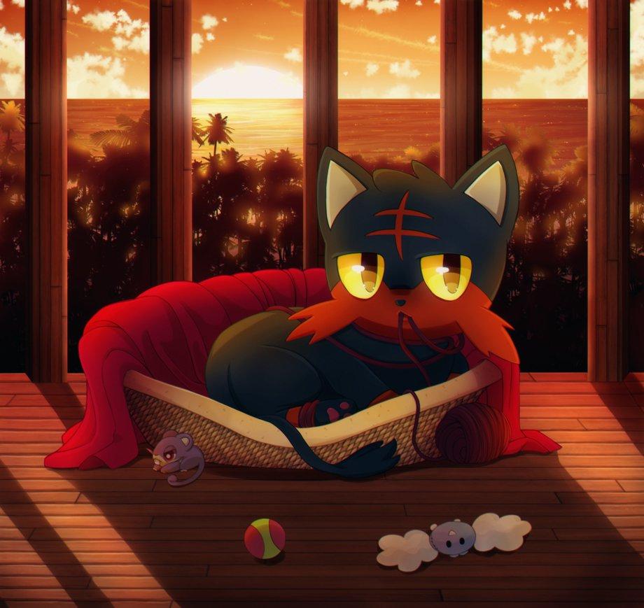 Litten in his bed. | Pokémon Sun and Moon | Know Your Meme