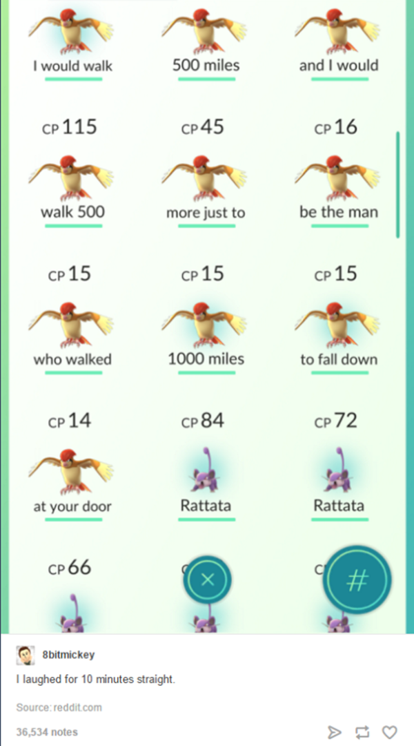 TFW you have a Pidgeotto who can't learn fly | Pokémon GO | Know Your Meme