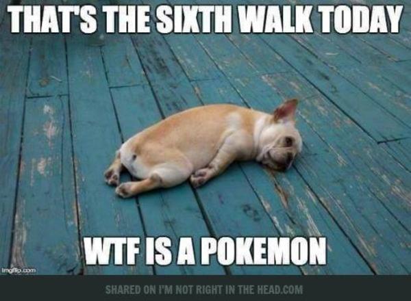 Tired | Pokémon GO | Know Your Meme