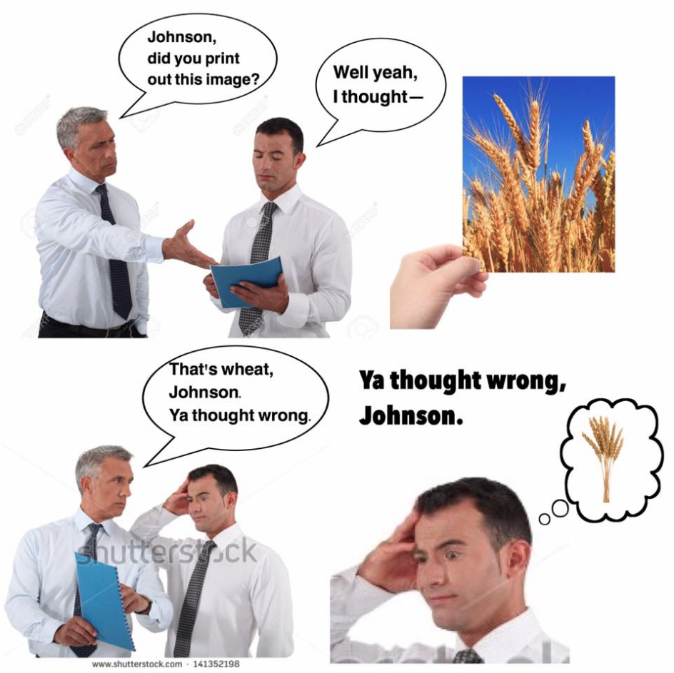 Ya thought wrong, Johnson | Corn Is The Best Crop & Wheat Is Worst ...