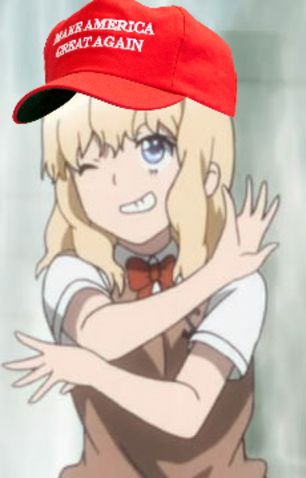 M14 | #TrumpAnime / Rick Wilson Controversy | Know Your Meme