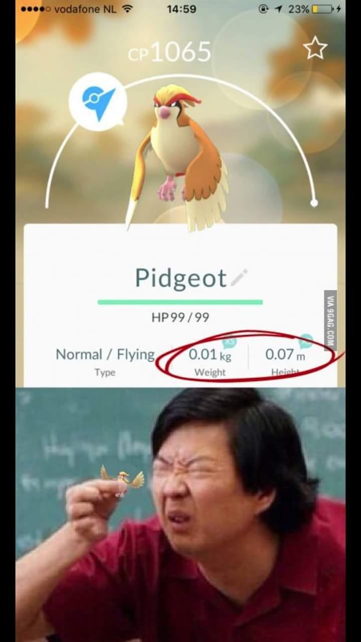 Tiny strong bird | Pokémon GO | Know Your Meme