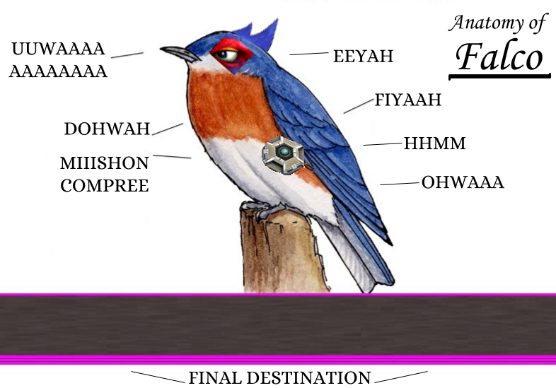Anatomy of a Melee Falco | Super Smash Brothers Melee | Know Your Meme