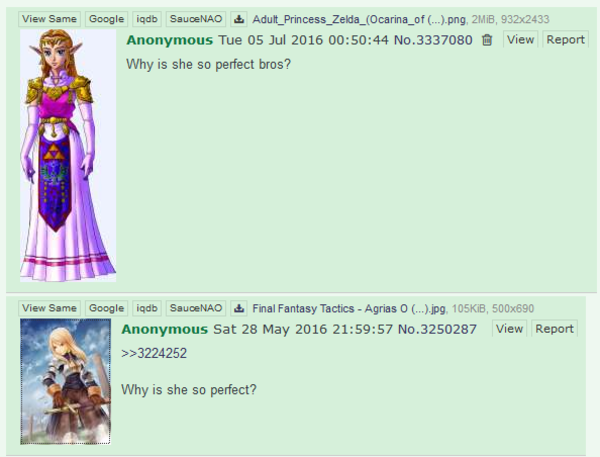 Examples from /vr/ | Why Is She So Perfect? | Know Your Meme