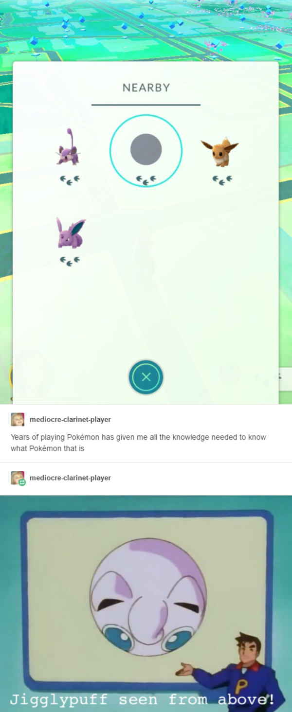 That's no Voltorb... | Pokémon GO | Know Your Meme