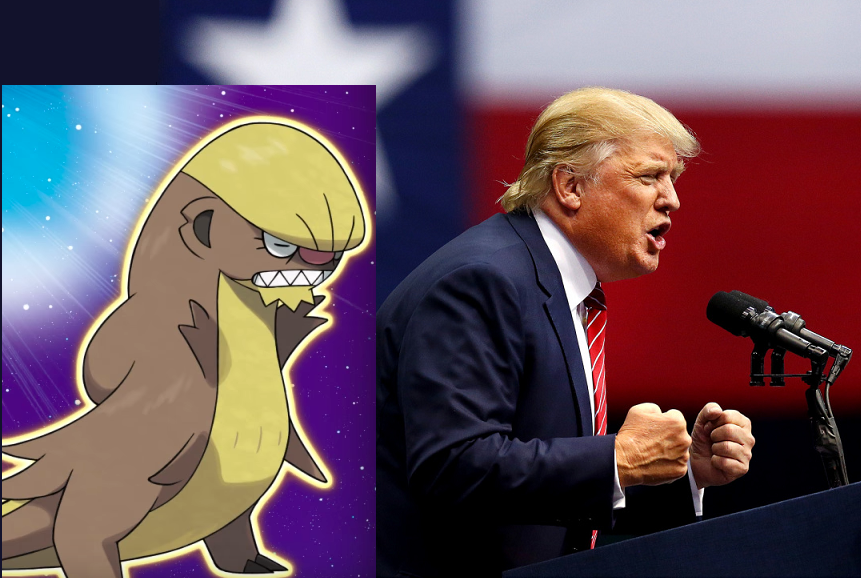 Trump-shoos (Yungoos's evolved form looks even more like Trump ...