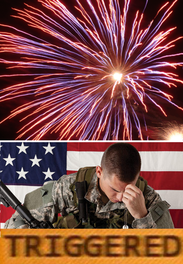 Veteran TRIGGERED! | Triggered Comics | Know Your Meme