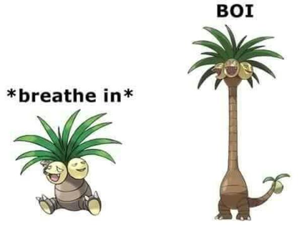 Boi | Alolan Exeggutor | Know Your Meme