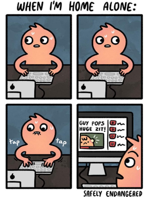 when im home alone | Safely Endangered | Know Your Meme when im home alone | Safely Endangered | Know Your Meme