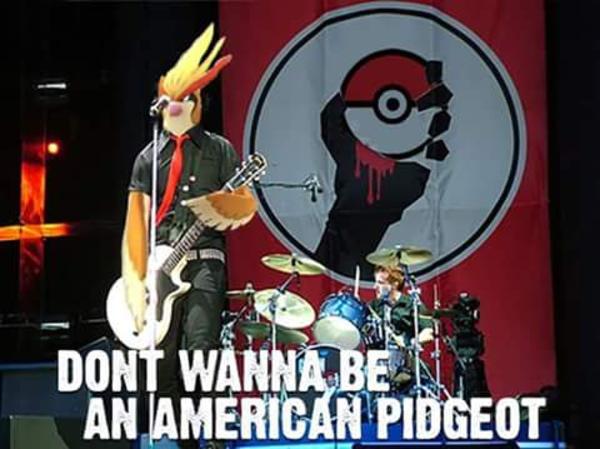 American Pidgeot | Pokémon | Know Your Meme