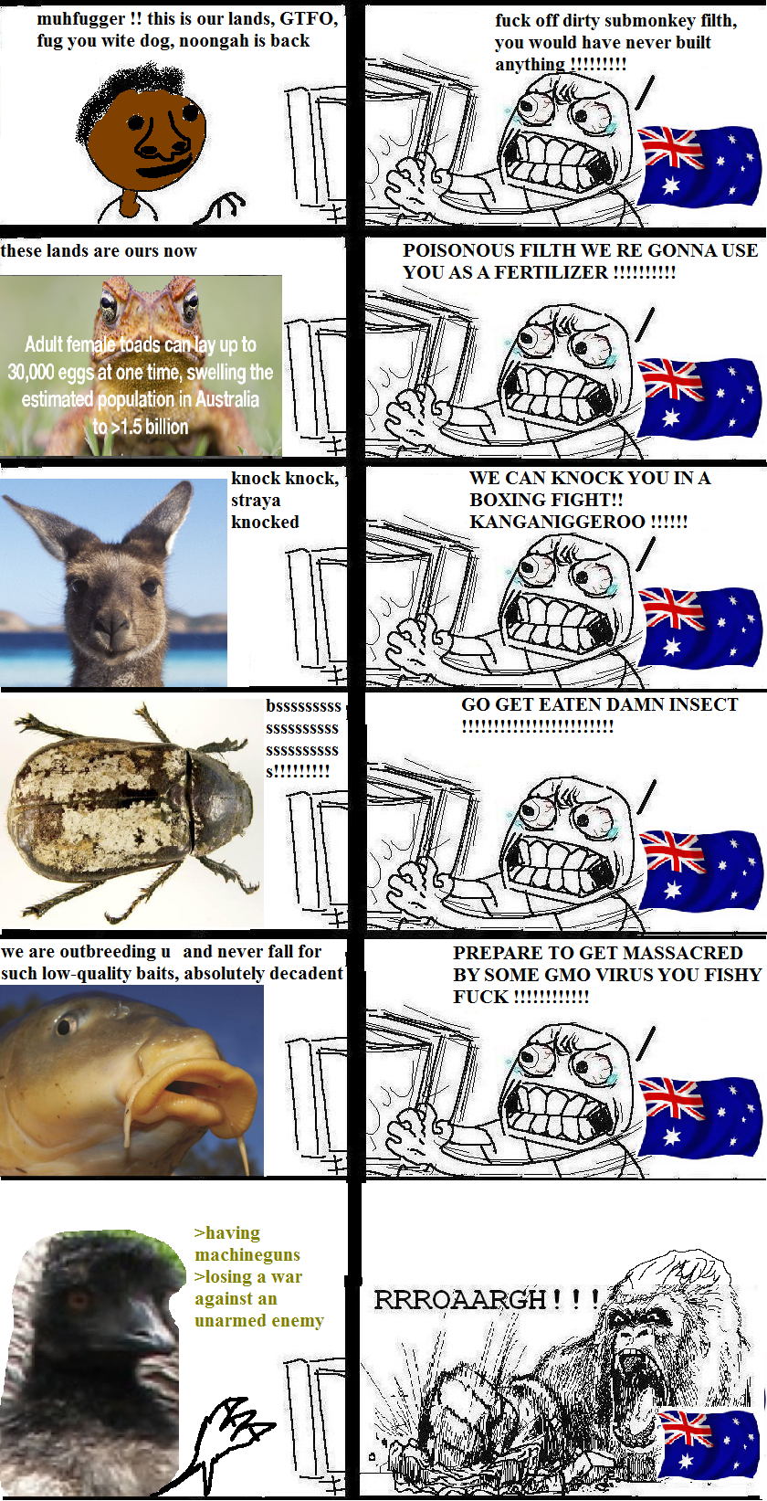 straya versus wildlife | Nationality Stereotypes | Know Your Meme