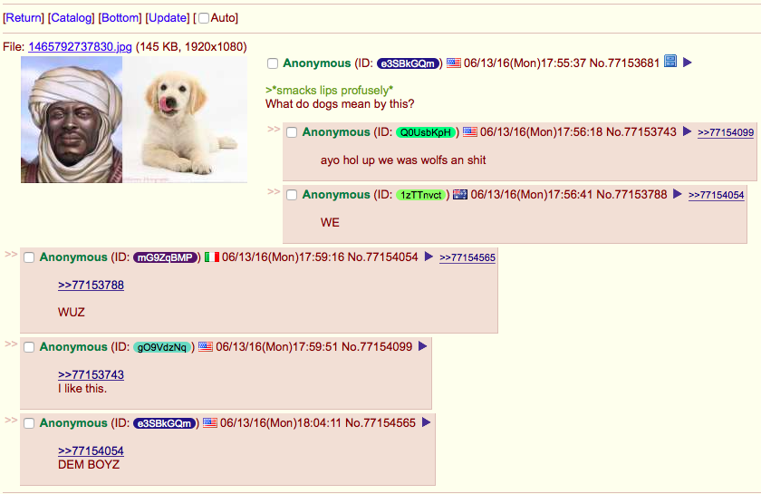 We Wuz Wolves | WE WUZ KINGS | Know Your Meme