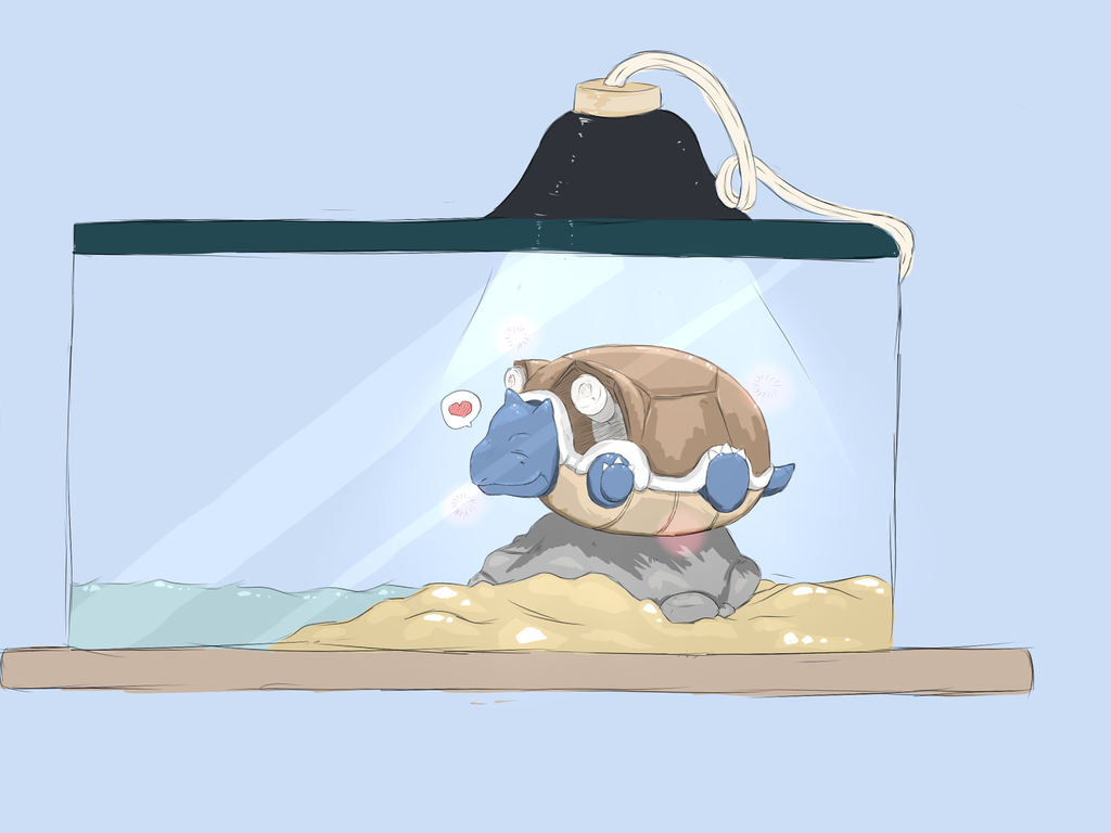 Blastoise feeling comfortable in a tank | Pokémon | Know Your Meme
