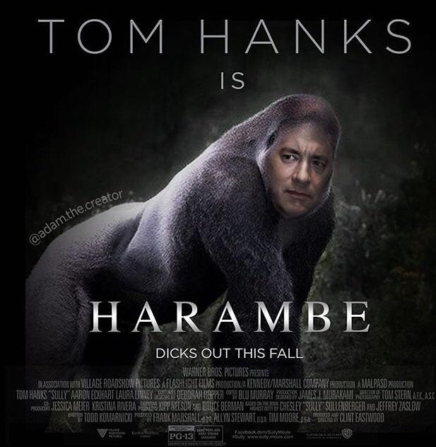 TOM HANKS IS HARAMBE | Harambe the Gorilla | Know Your Meme