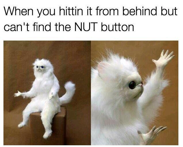 :O | Nut Button | Know Your Meme