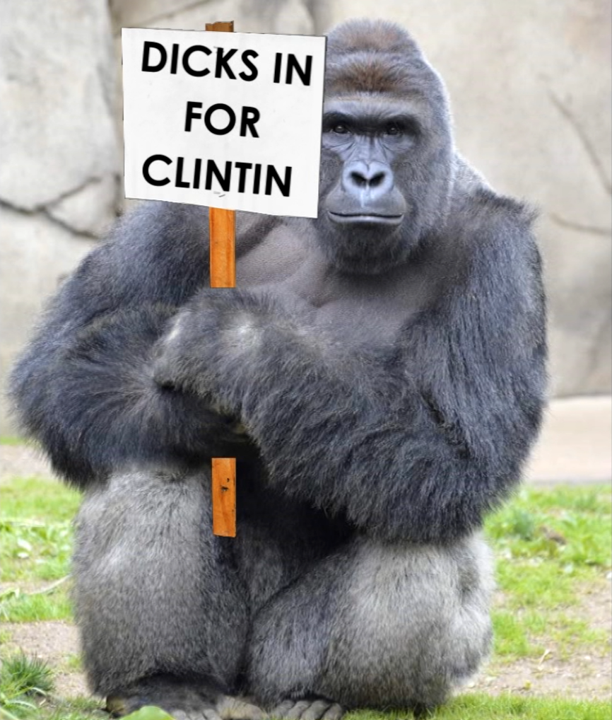 Dicks In For Clintin | Harambe the Gorilla | Know Your Meme