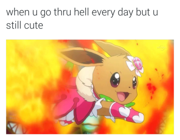 when u go thru hell every day but u still cute | Eevee | Know Your Meme