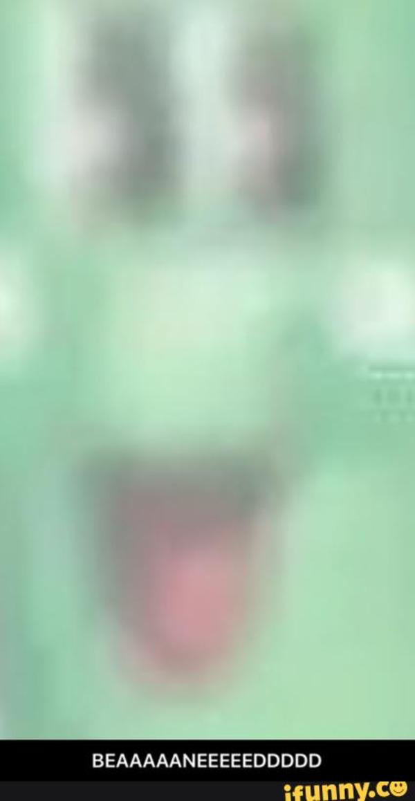 BEAAAAAANEEEEEDDDDD | Beaned | Know Your Meme