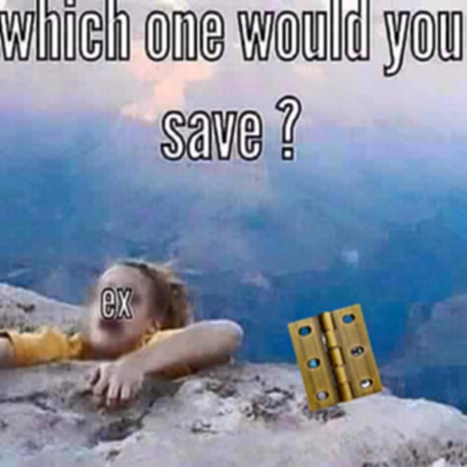 Whhich one would you save? | Door Hinge | Know Your Meme