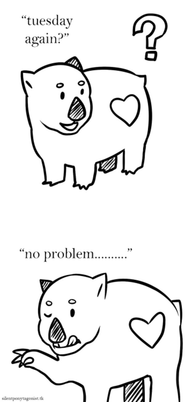 Pig Variation | Tuesday Again? No Problem.......... | Know Your Meme