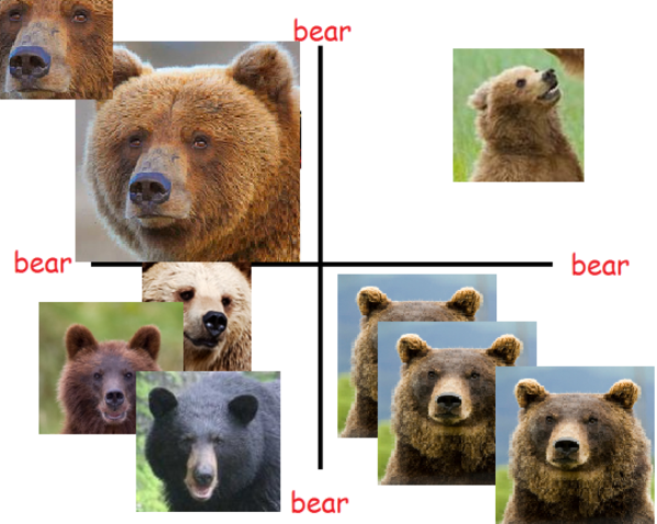 Bear. | Political Compass | Know Your Meme