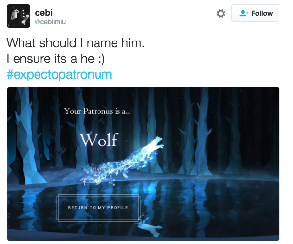 Wolf Patronus | #ExpectoPatronum | Know Your Meme