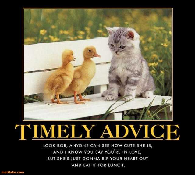 Timely Advice | Animals | Know Your Meme
