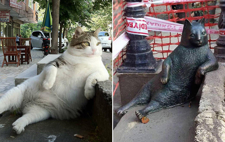 Statue | Tombili / Chill Cat | Know Your Meme
