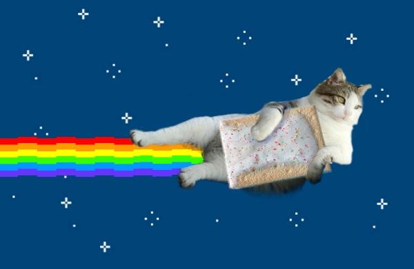 Nyan Cat | Tombili / Chill Cat | Know Your Meme