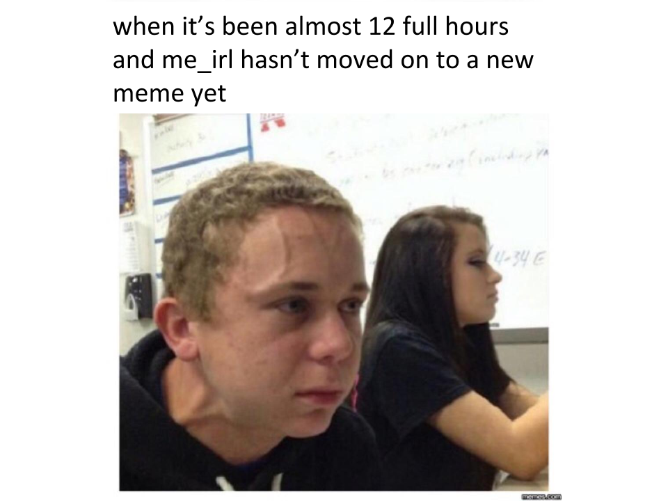 Keep the memes rolling | The Meme Renaissance of Me_IRL / The Great ...