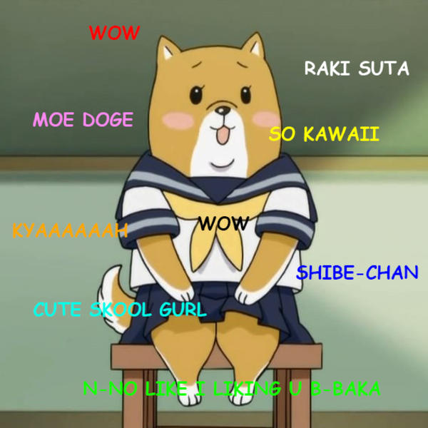 Anime Doge | Doge | Know Your Meme