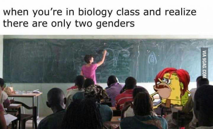 Assume Gender Caveman Spongebob | Did You Just Assume My Gender? | Know ...