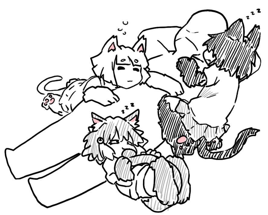 Catnap Catgirl Neko Know Your Meme
