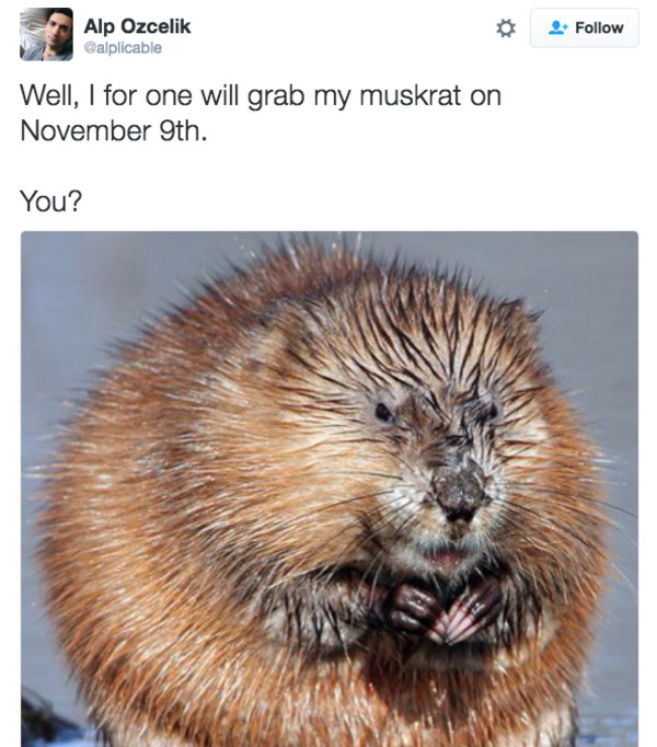 Muskrat Tweet 1 | "On November 9th..." | Know Your Meme