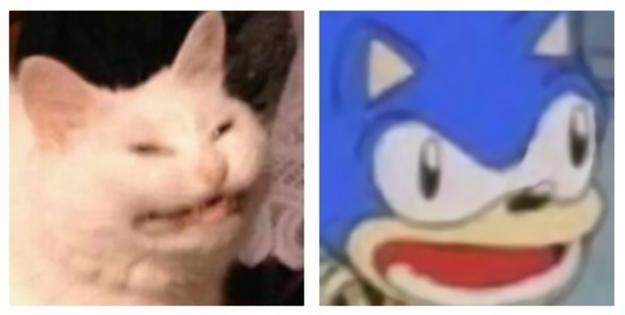 One side of ____ | Sonic the Hedgehog | Know Your Meme