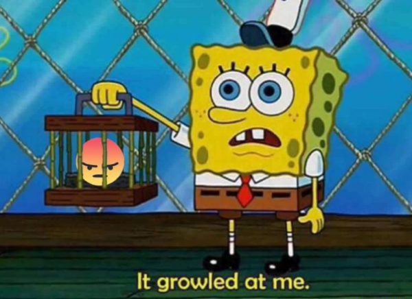 "it growled at me" | Angery | Know Your Meme