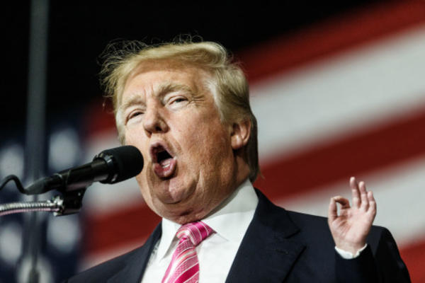 One Tiny Hand | Donald Trump's Small Hands | Know Your Meme