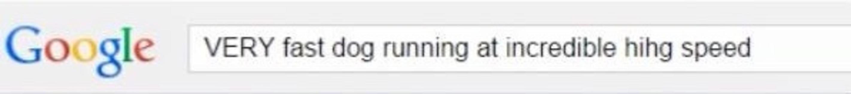 Template | Very Fast Doggo Running at Incredible Hihg Speed | Know Your ...