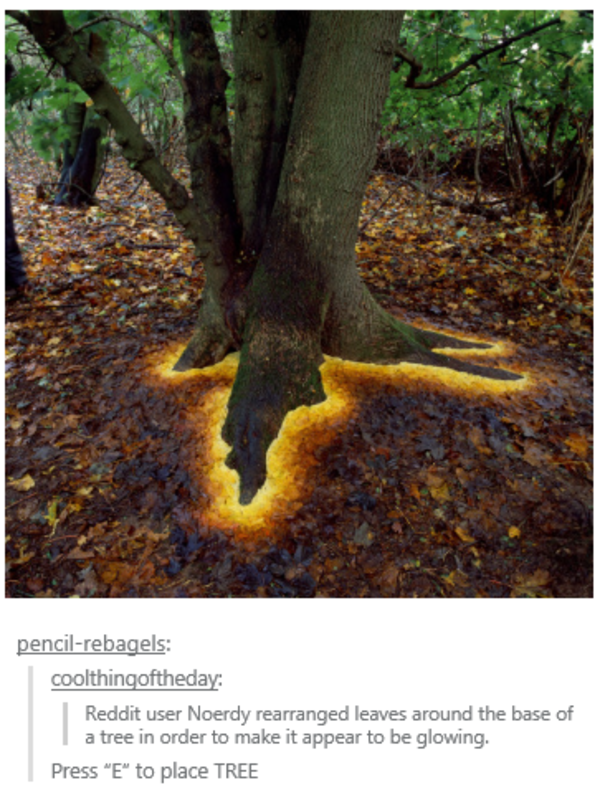 Press "E" to Place Tree | Video Game Logic | Know Your Meme