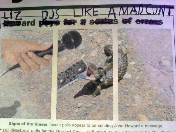 Friday Lizard Newspaper | Friday Lizard | Know Your Meme