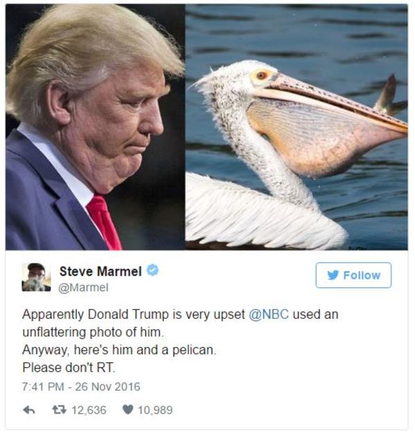 Steve Marmel tweet | Unflattering Donald Trump | Know Your Meme