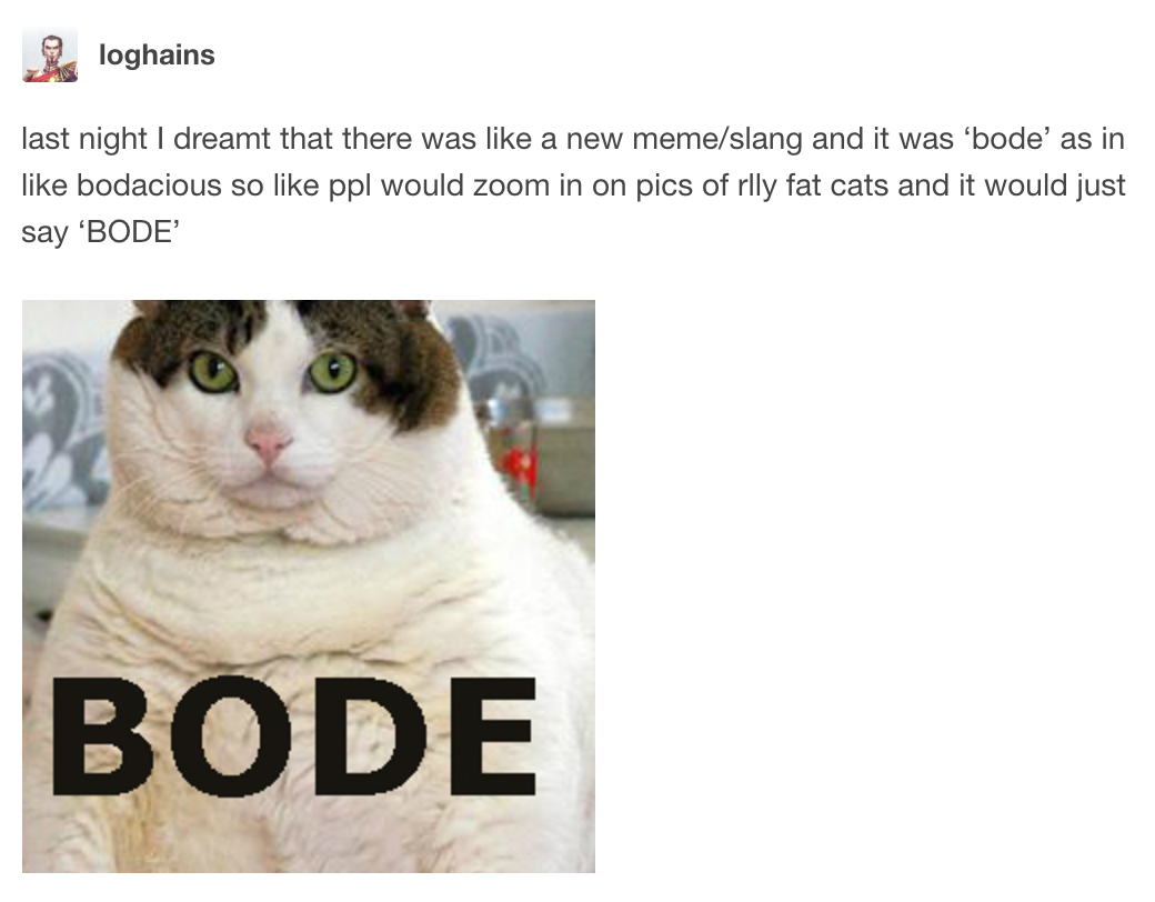 BODE Origin | BODE | Know Your Meme