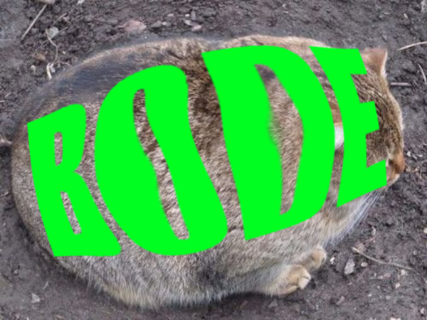 BODE | BODE | Know Your Meme