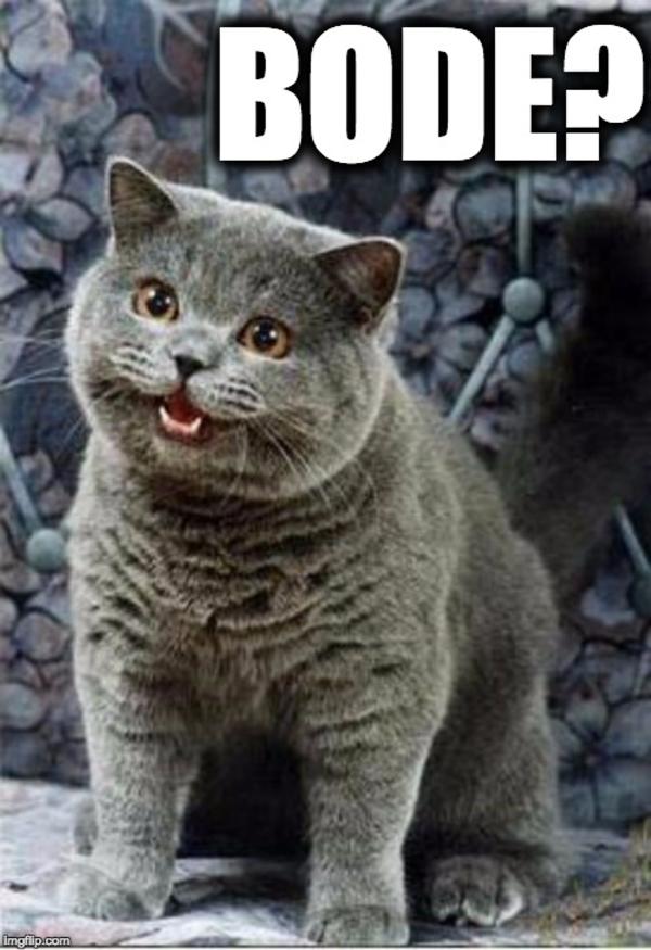I can has BODE | BODE | Know Your Meme
