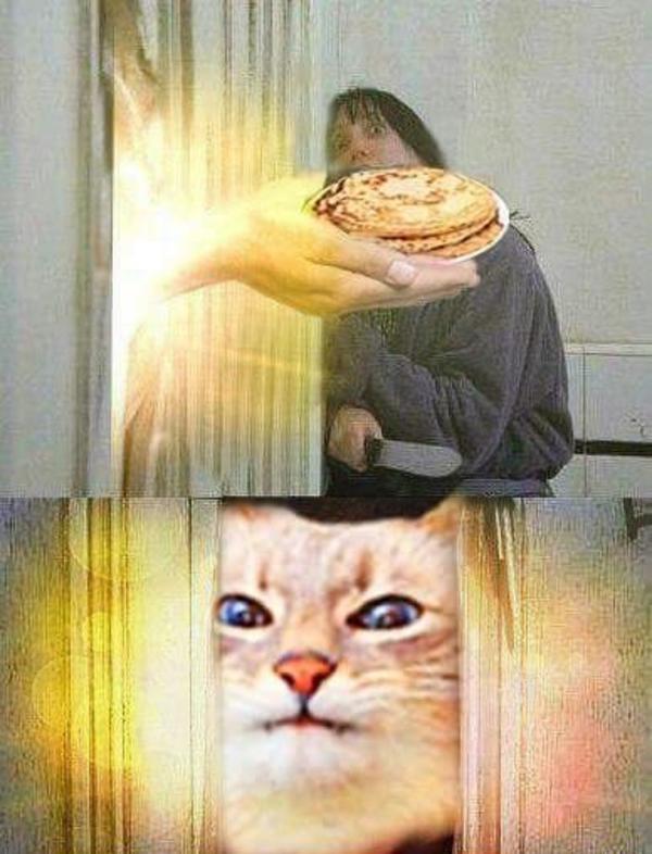 heeeere's blini | Blini Cat | Know Your Meme