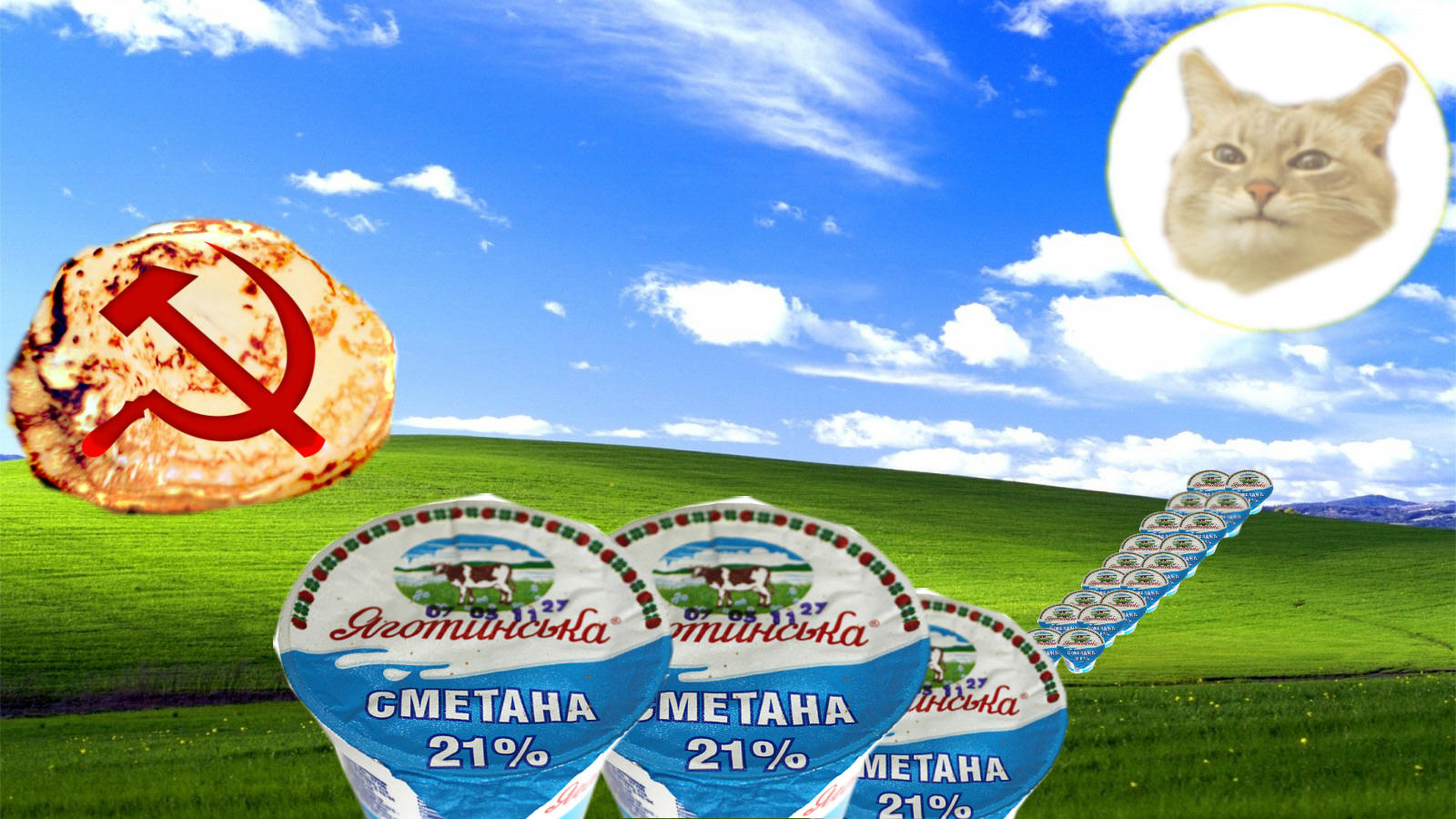 blini wallpaper | Blini Cat | Know Your Meme