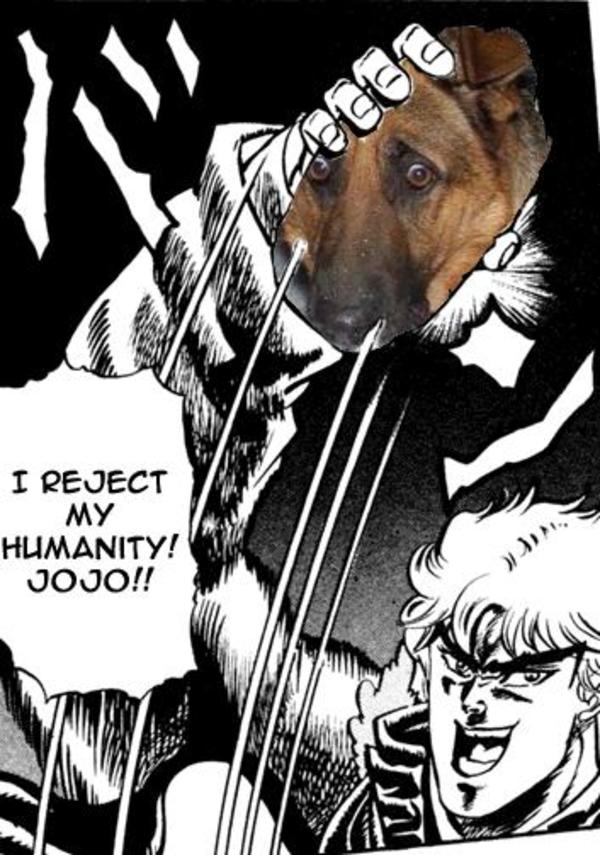 I reject my humanity! | I Reject My Humanity, JoJo | Know Your Meme