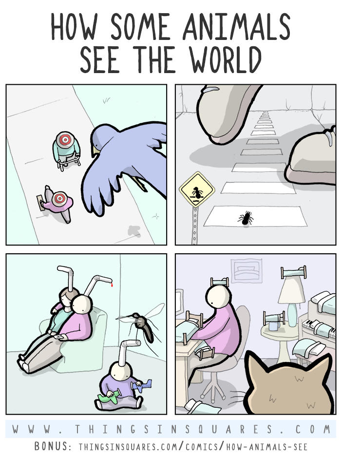 How Some Animals See the World | Webcomics | Know Your Meme