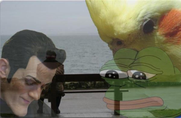 This Sad Time | Ironic Memes | Know Your Meme