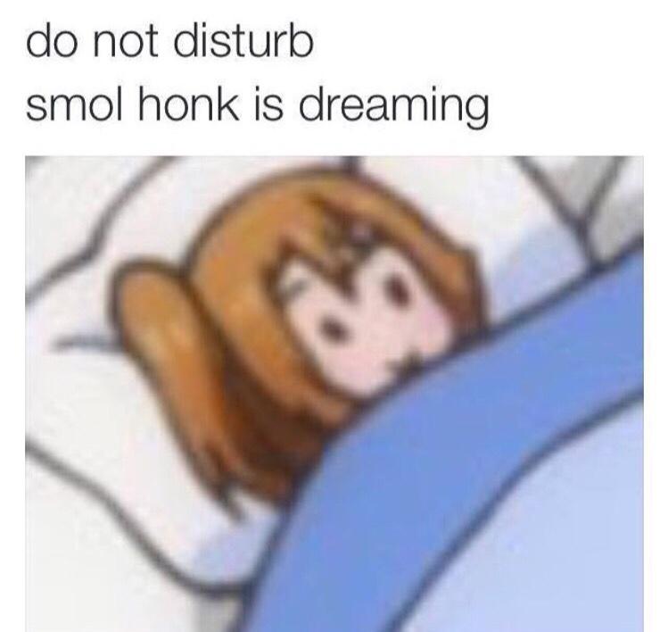 do not disturb small honk is dreaming | Smol | Know Your Meme